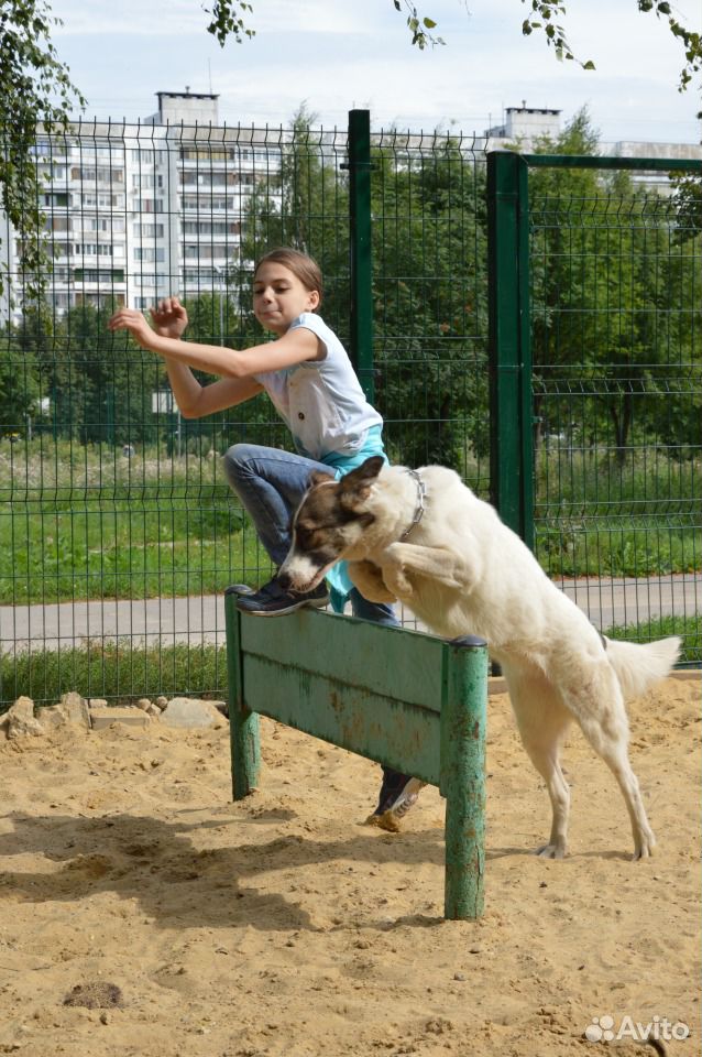 Молли - Большая и Чистая Любовь