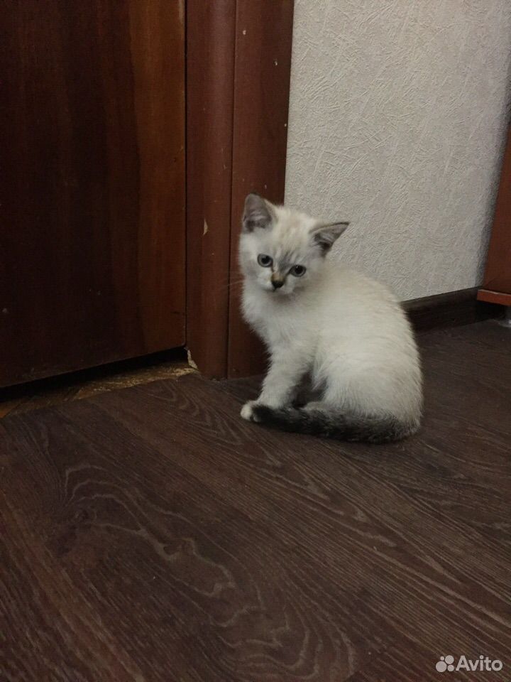 Сладенькая принцесска
