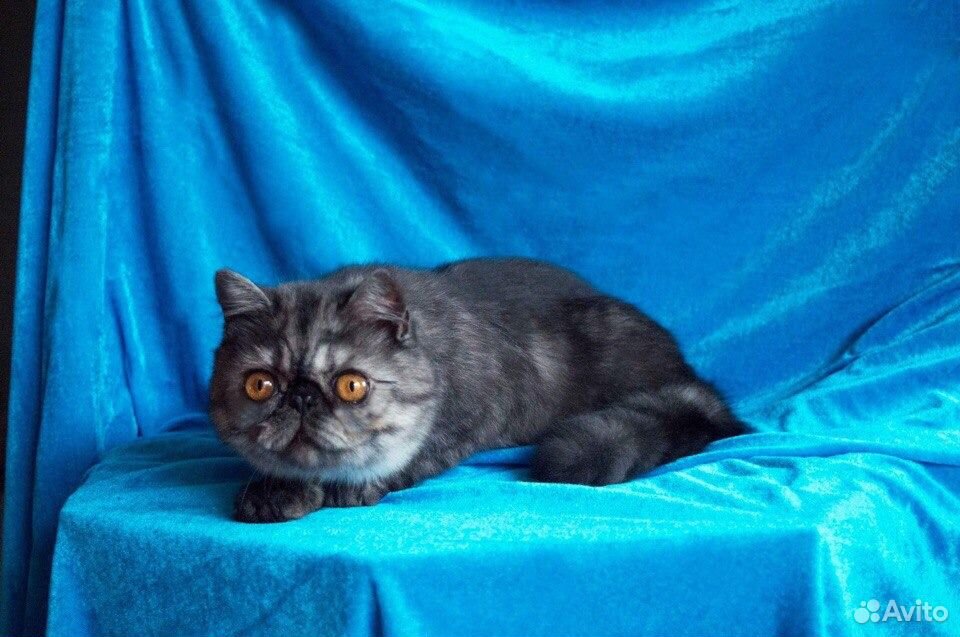 Черный дым