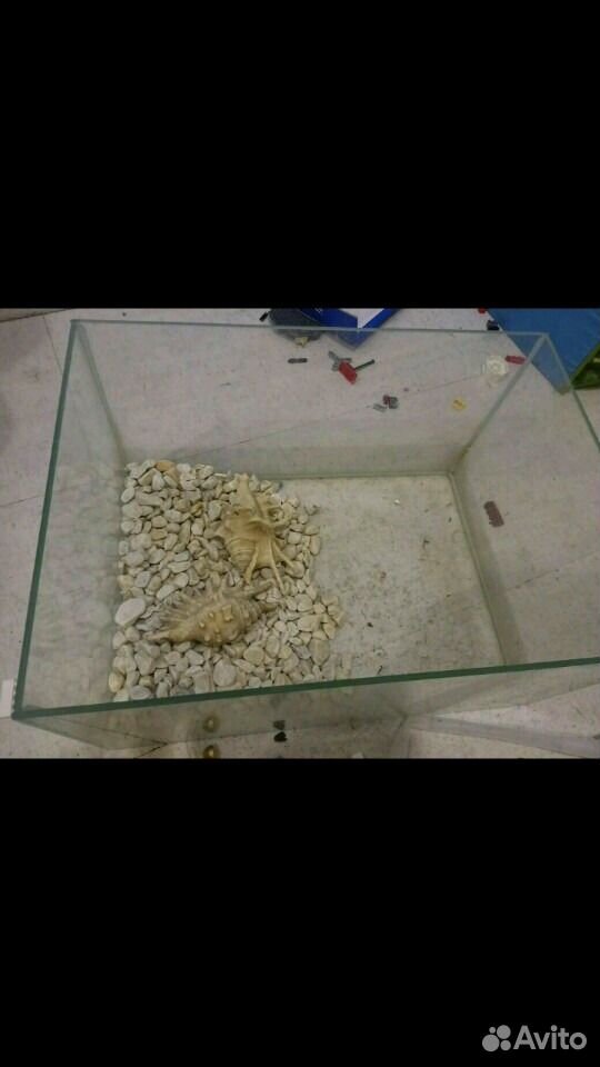 Аквариум для черепахи