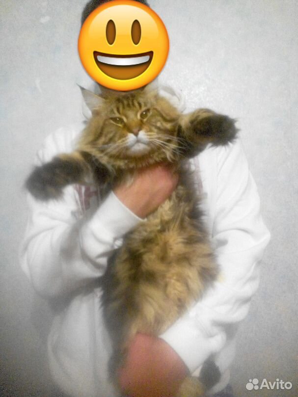 Вязка