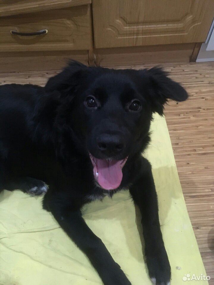 Я верю и жду