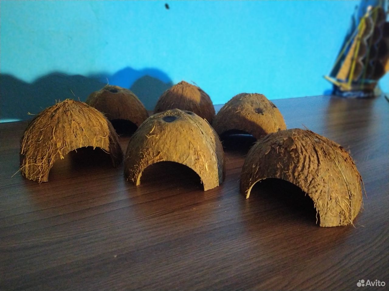 Домики из кокоса в аквариум
