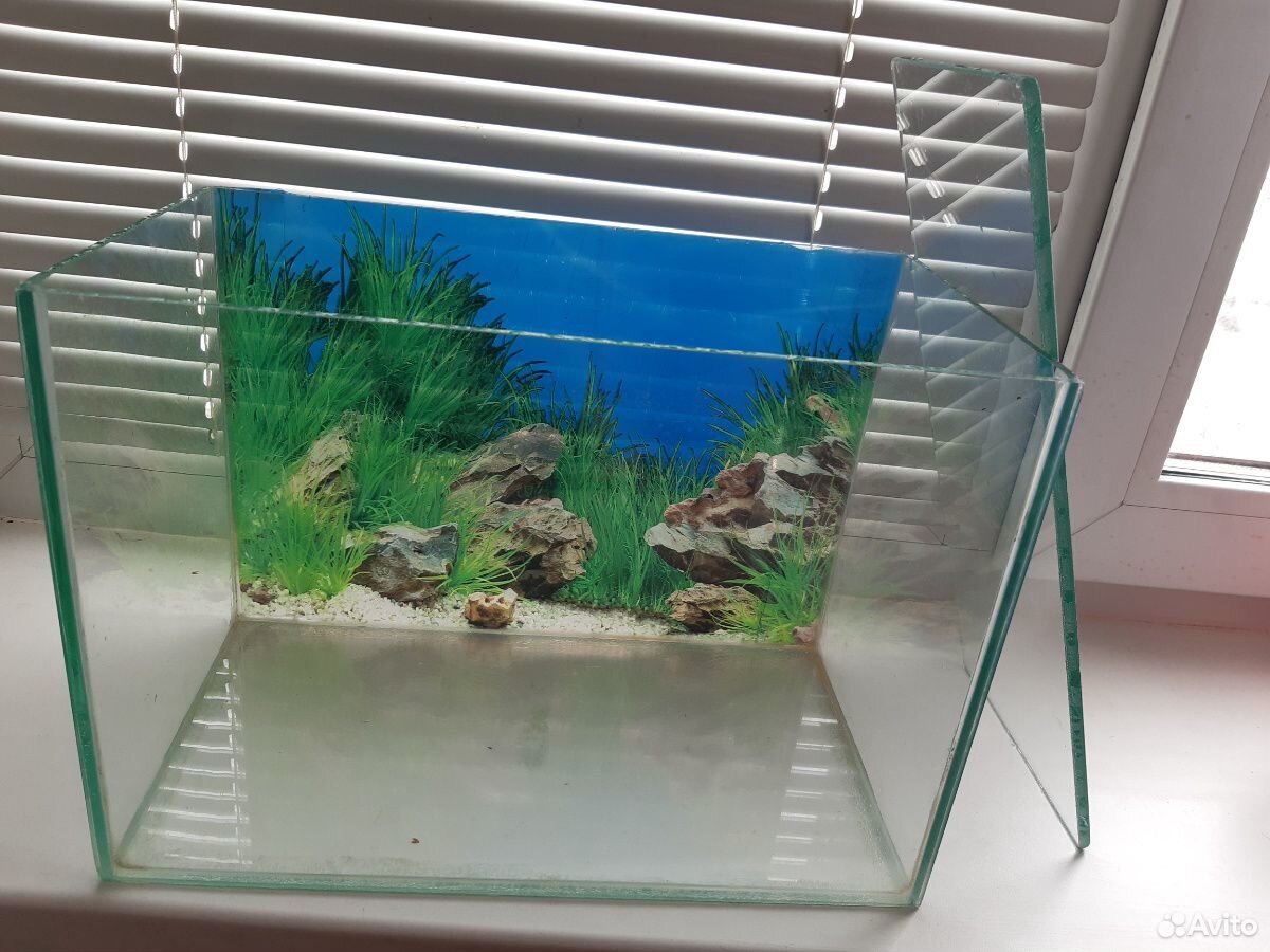 Аквариум