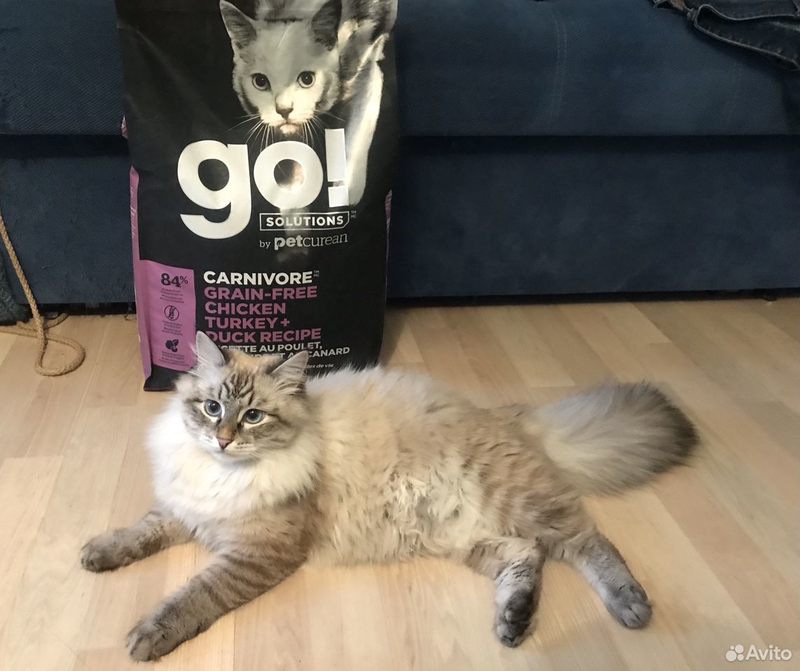 Ищем невесту