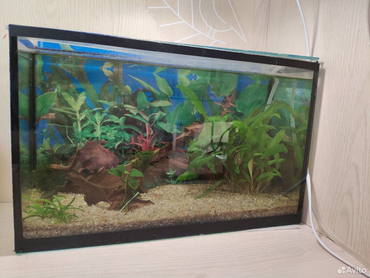 Аквариумы