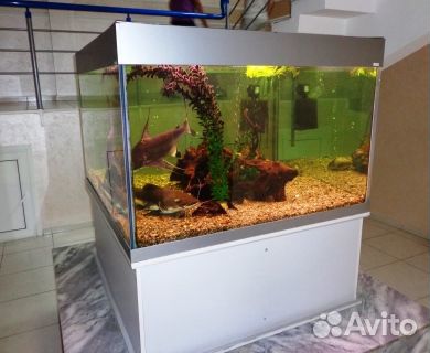 Аквариум 900 литров