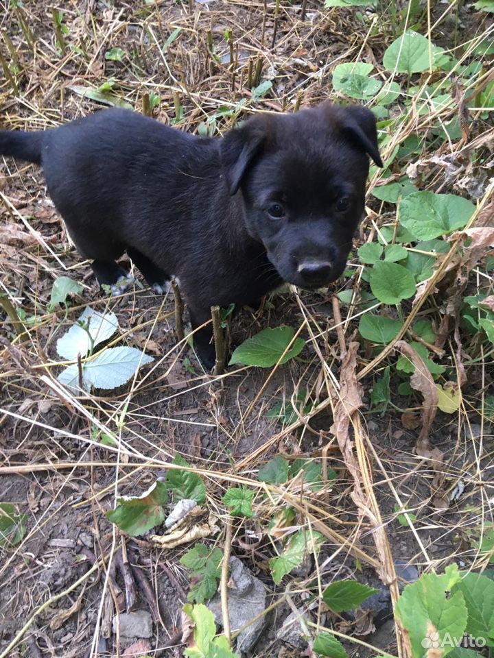 Красавица Тина в дар