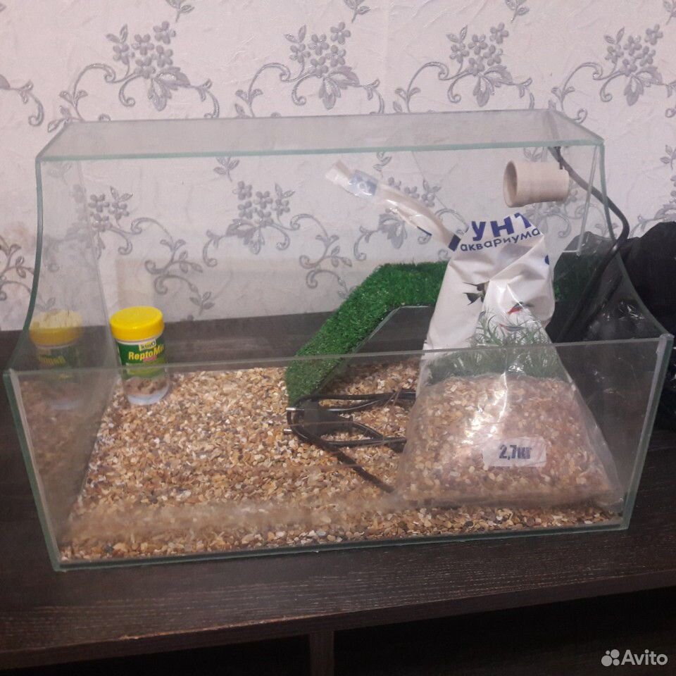 Аквариум для черепахи