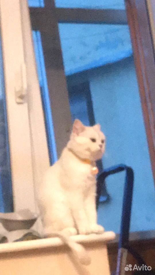 Вязка