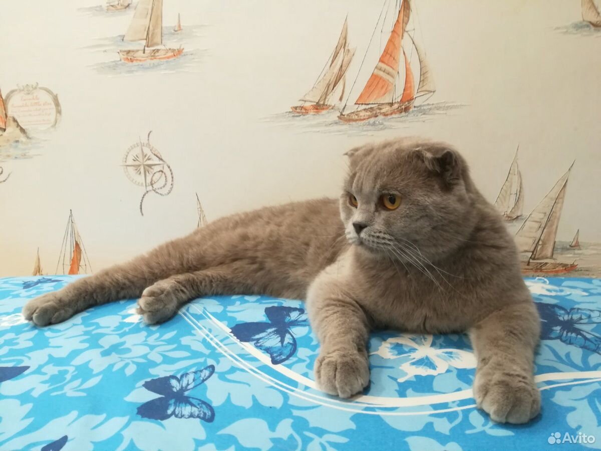 Вязка