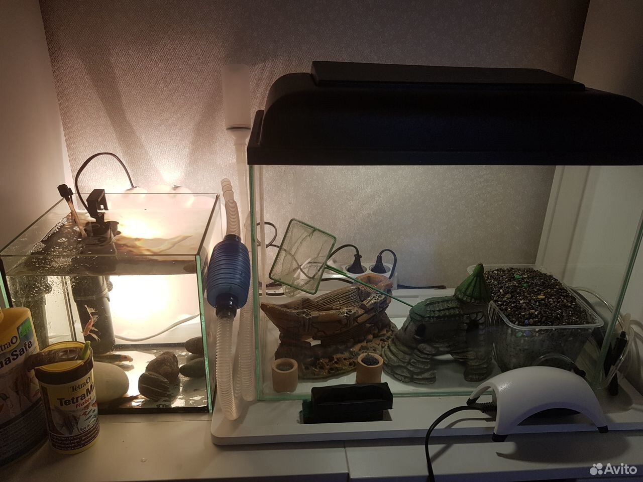 Аквариум 30 л " Всё включено" (действующий)