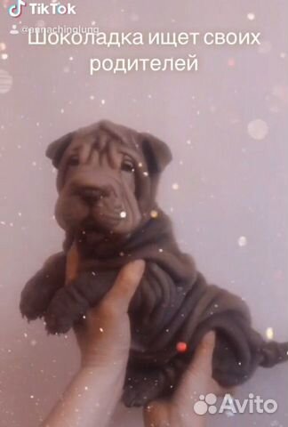 Чудесная шоколадка