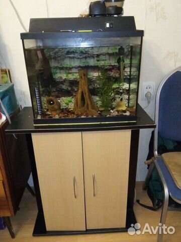 Аквариум на тумбе с рыбками
