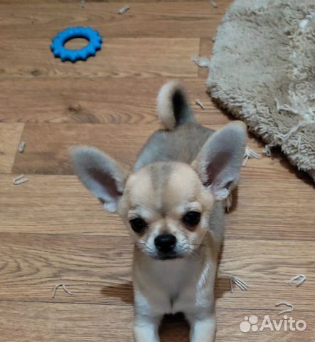 Красавец мужчина