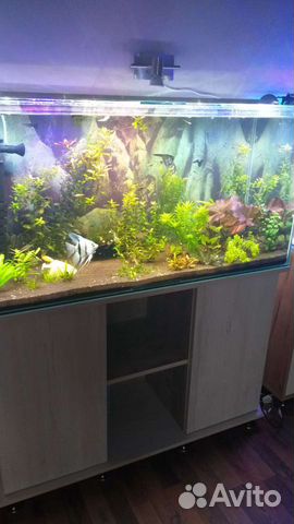 Аквариум