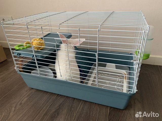 Кролик с клеткой