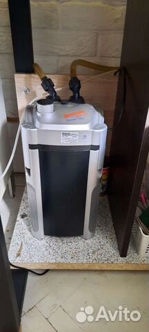 Аквариумные рыбки цихлиды