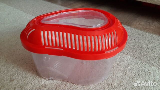 Террариум для улиток