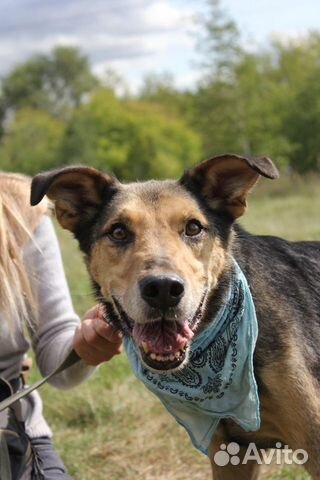 SOS. У Стенли не осталось надежд и желания жить