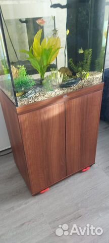 Аквариум с тумбой Juwel, Rio, 120 литров