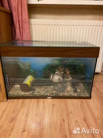 Аквариум