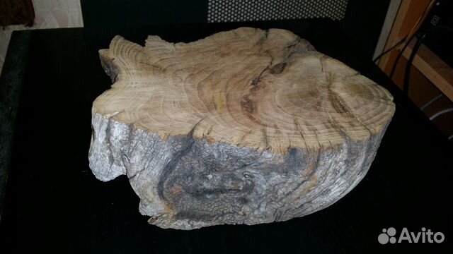 Коряга для интерьера или аквариума