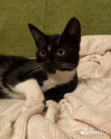 Маленькая Кнопочка