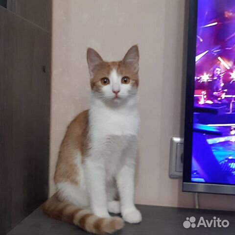 Милаша в дар