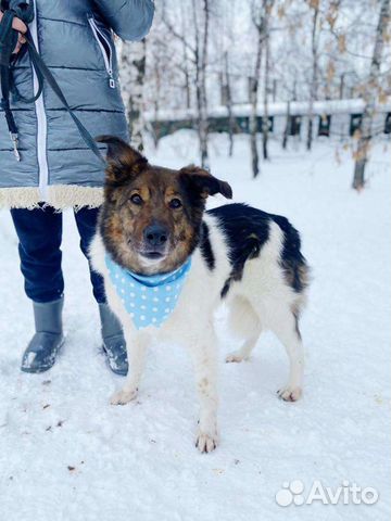 Майли может погибнуть