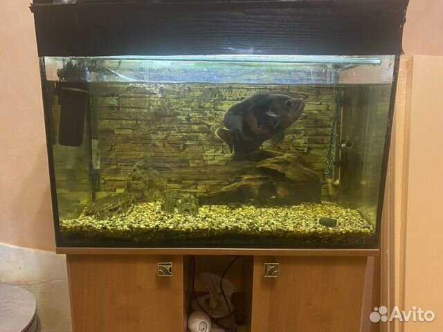Аквариум 120 литров с оборудованием