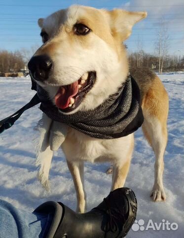 Патрику нужна любящая семья