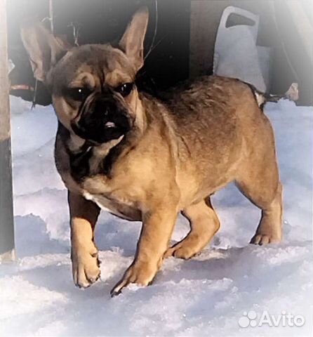 Масик ждёт вас