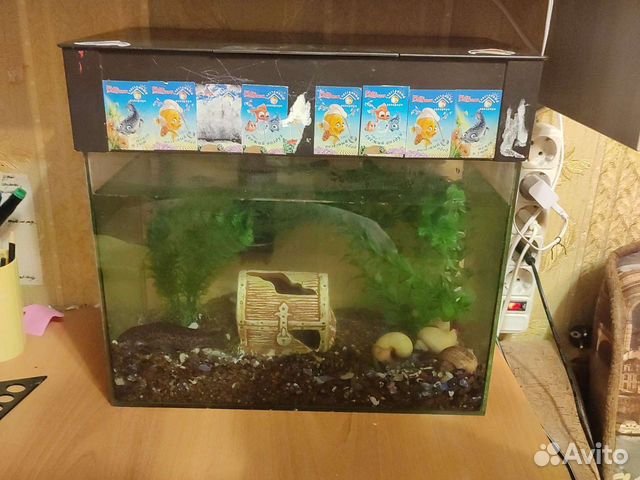 Аквариум с рыбками и аксессуарами
