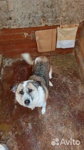 Линдочка каждый день плачет