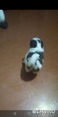 Клубочек радости и счастья