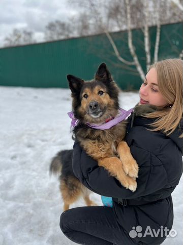 Добрая и весёлая Еживика долго ждёт вас в клетке