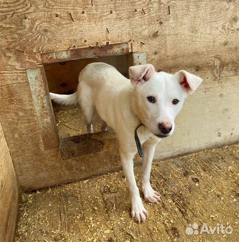 Боится прожить за решеткой всю жизнь