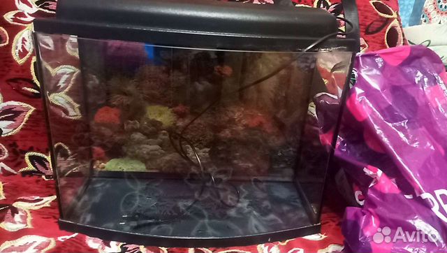 Аквариум, грунт, фильтр