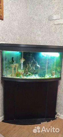 Аквариум с тумбой 120литров