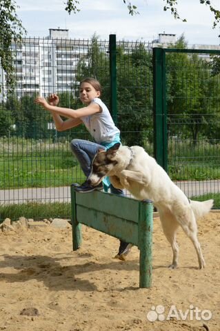 Молли - Большая и Чистая Любовь