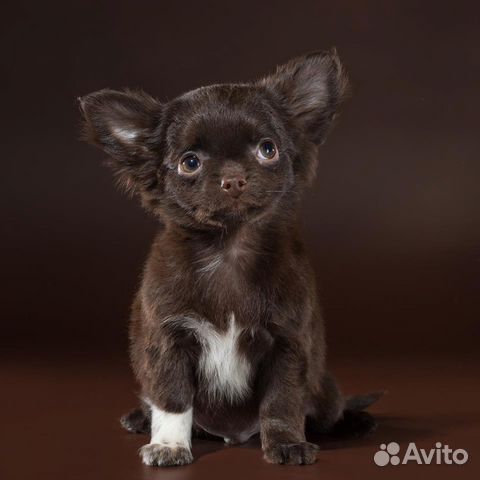 Ну где же ты моя мама