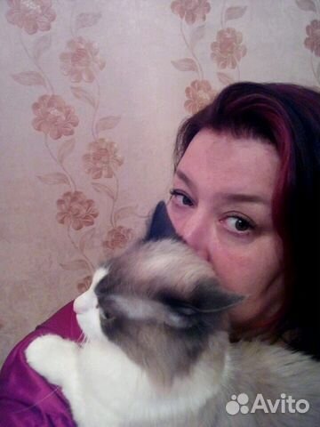 Рэгдолл малышки