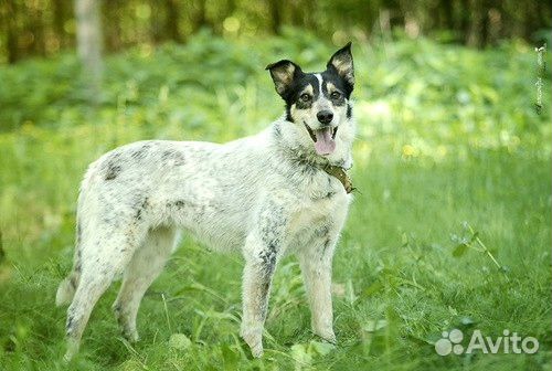 Барби в добрые ручки