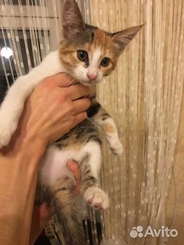 Лялька- красотка2 мес