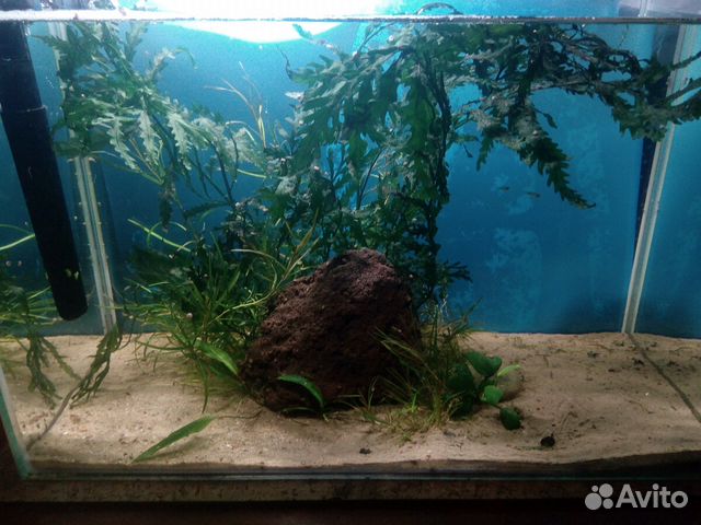 Аквариум в комплекте
