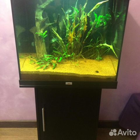 Аквариум juwel lido 120
