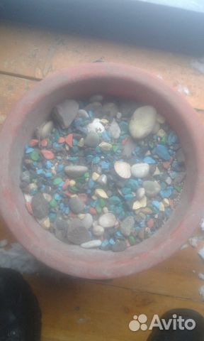 Грунт цветной,ракушки