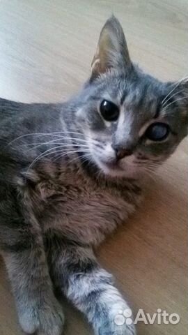 Особенная кошечка Стеша
