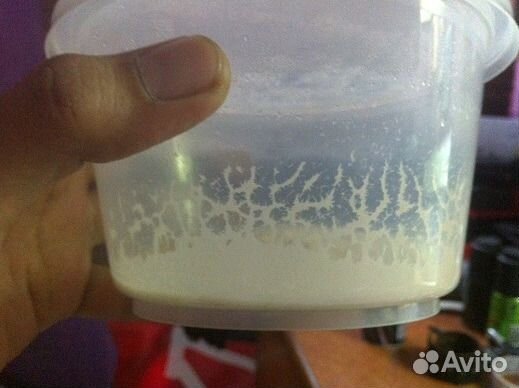 Нематода (уксусная угрица,микрочервь).заряженый ко